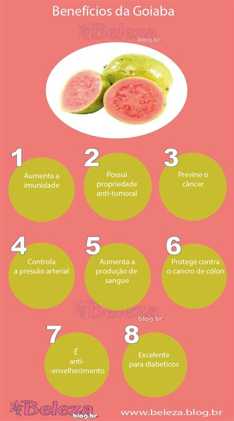 Goiabeira Caracter Sticas Nome Cient Fico E Fotos Mundo Ecologia