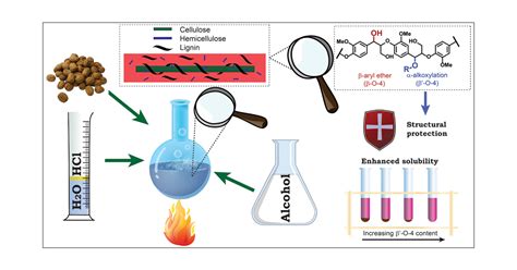 Mild Organosolv Lignin Extraction With Alcohols The Importance Of