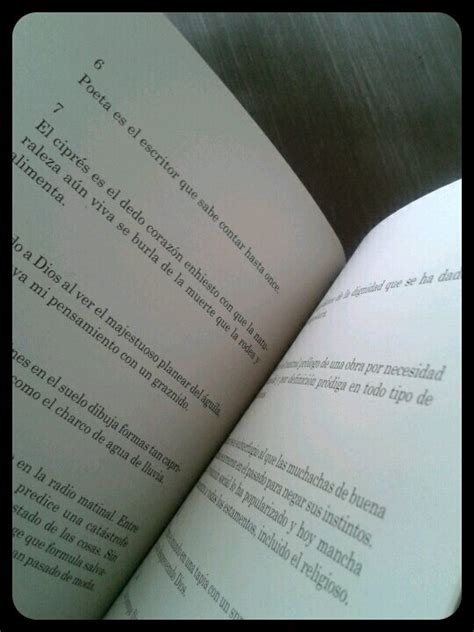 El Lenguaje De Los Aforismos Poemas Del Alma