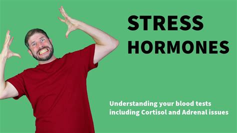 Stress Hormone Blood Tests Explained Cortisol Cushings And Adrenal