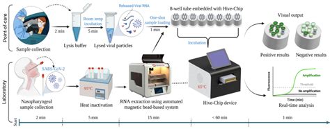 上海交大陶生策团队发表新冠病毒快速核酸检测新成果 生物通