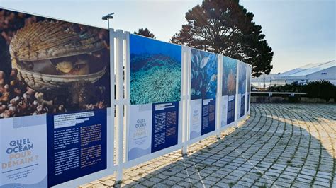 Exposition quel océan pour demain Océanopolis