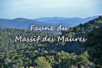 Faune Du Massif Des Maures A Provence