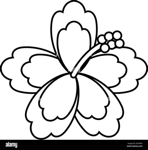 Actualizar Imagen Dibujos De Flores Hawaianas Para Colorear The Best