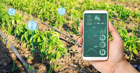 Innovaciones tecnológicas en la agricultura Portal del Emprendedor de