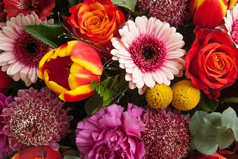 Blumen Blumenstrauß Pflanzen Kostenloses Foto auf Pixabay