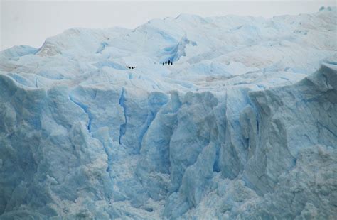 Cosas Que Ver Y Hacer En El Calafate La Vida Son Dos Viajes