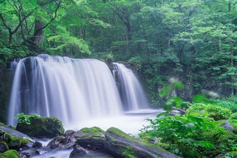 Fondos de pantalla paisaje cascada naturaleza césped verde Sony