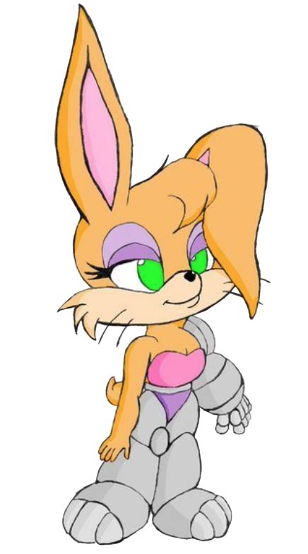 Bunnie Rabbot Heroes Wiki Fandom