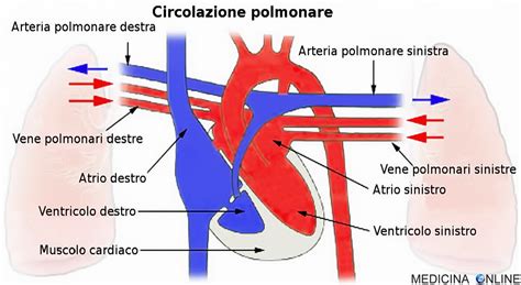 Medicina Online Salute Del Fisico Benessere Della Mente Bellezza
