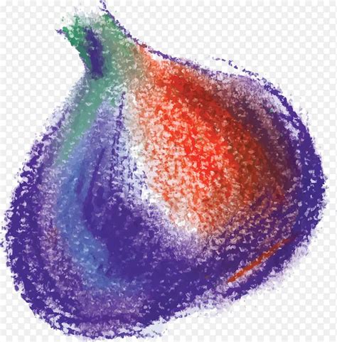 Png Qrmpozgp