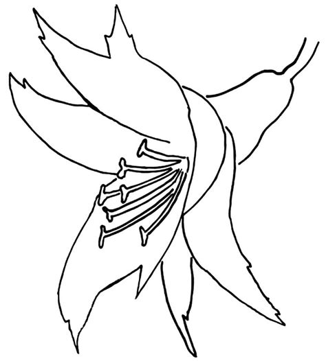 Desenhos de Orquídea para colorir Pop Lembrancinhas