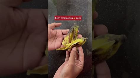 Don T Throw Away Banana Peels Do This Instead YouTube