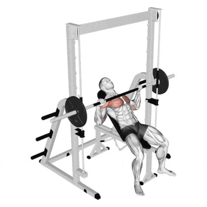 Smith Machine Bench Press Muscles Worked How To Do Tips