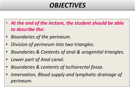 Ppt Female Perineum And External Genitalia Powerpoint Presentation