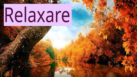 Muzica De Relaxare Cu Pian Si Ciripit De Pasarele YouTube