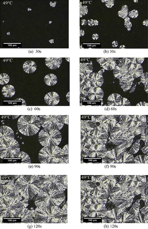 Polarised Optical Microscopy Images Of PEO Crystallised At 49 C On The