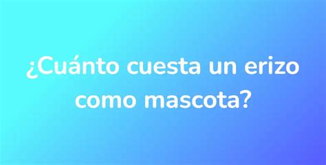 Cuánto cuesta un erizo como mascota UnaRespuesta es
