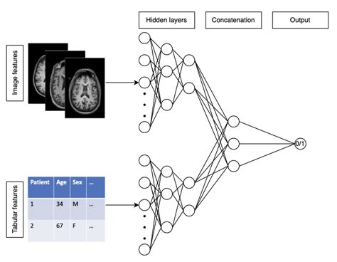 a general multi input neural network architecture download scientific diagram