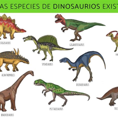 Conoce los tipos de dinosaurios características nombres y fotos