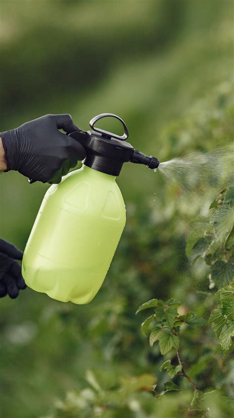 Doenças causadas por agrotóxicos Webstories Casa e Jardim