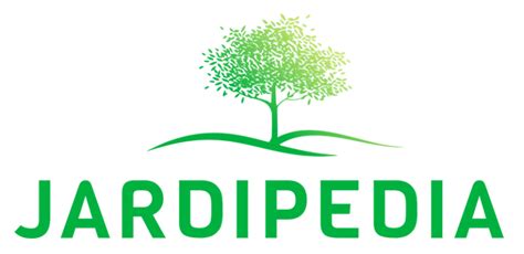 Créer un Espace Zen dans Votre Jardin Conseils et Astuces Pour une