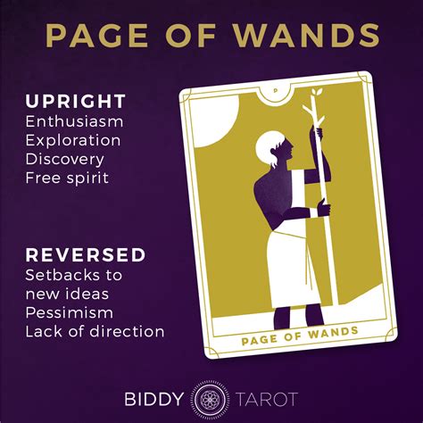 Seven Of Wands Tarot Card Meanings Biddy Tarot 41 OFF