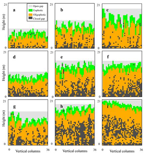 remote sensing free full text estimating forest structural parameters using canopy metrics