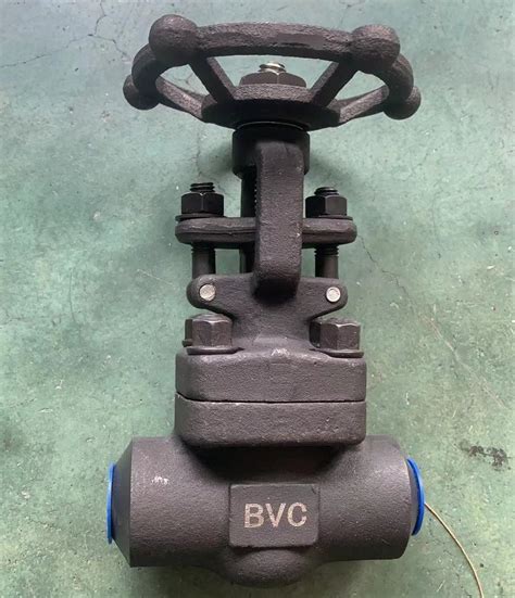 Bonny Valve Class150 2500 API A105 800lb Forged Steel Socket Weld Sw