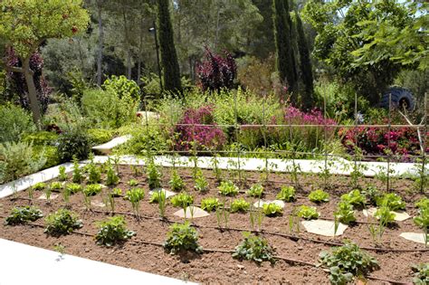 Huerto Ecológico BALEARIC GARDENS