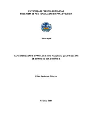Preenchível Disponível guaiaca ufpel edu UNIVERSIDADE FEDERAL DE