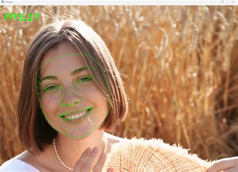opencv mediapipe ＞人脸特征点检测 代码天地