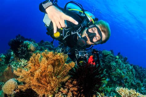 Your Crash Guide To Becoming A Padi Certified Scuba Diver