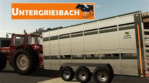 LS19 Untergriesbach 09 ersten Kühe auf unserem Hof