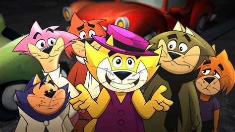 Don Gato Wallpapers Wallpaper Cave