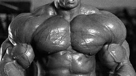 Cómo conseguir un cuerpo fitness Mundo Entrenamiento