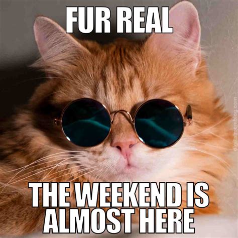 Funny Friday Memes That Will Have You Saying Tgif