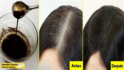 Usa Este Tinte Casero Para El Pelo Convierte Las Canas En Negro