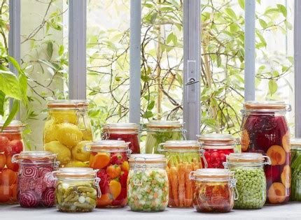 Comment Bien Conserver Ses R Coltes De Fruits