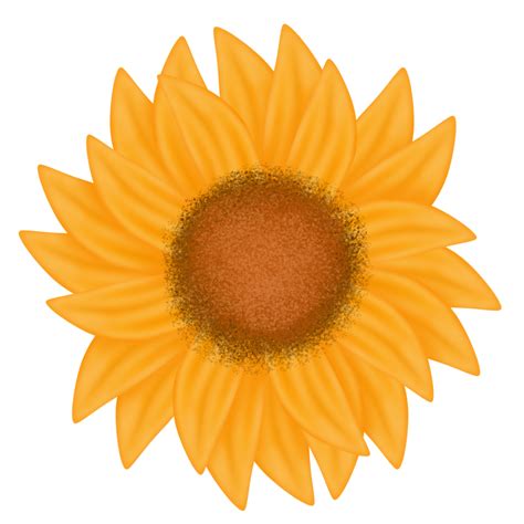 Top Imagen Petalo De Un Girasol Abzlocal Mx