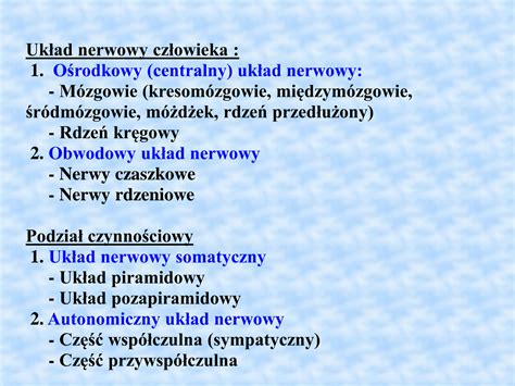 SOLUTION Anatomia Uk Adu Nerwowego Cz Owieka Studypool