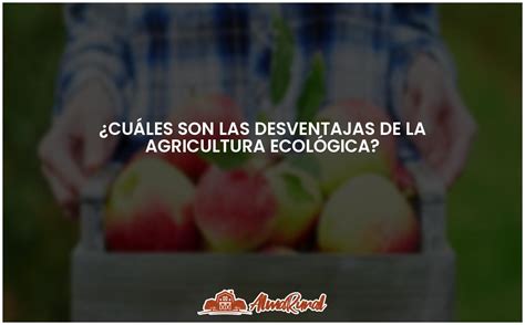 Desventajas de la agricultura ecológica descubre las limitaciones