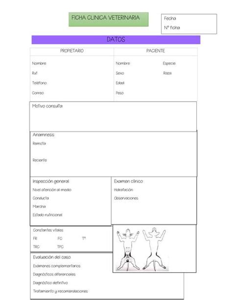 Descubrir 84 Imagen Hoja De Anamnesis Modelo Abzlocal Mx