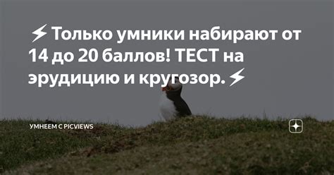Только умники набирают от 14 до 20 баллов ТЕСТ на эрудицию и кругозор