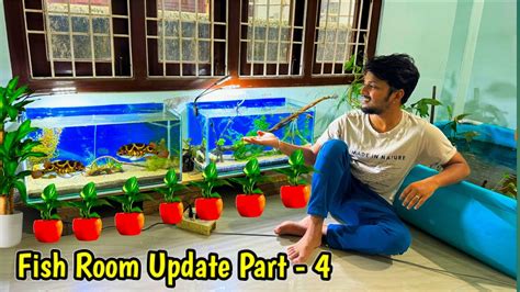Nd Fish Room New Tank Is Ready My Fish Room Update Part