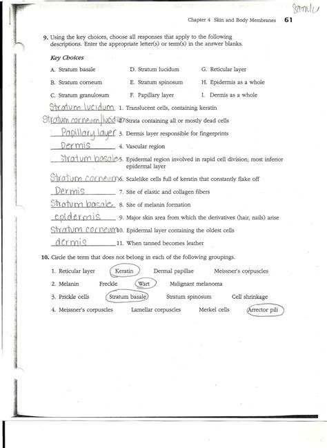 Cracking The Code Unlocking The Milady Chapter 6 General Anatomy And