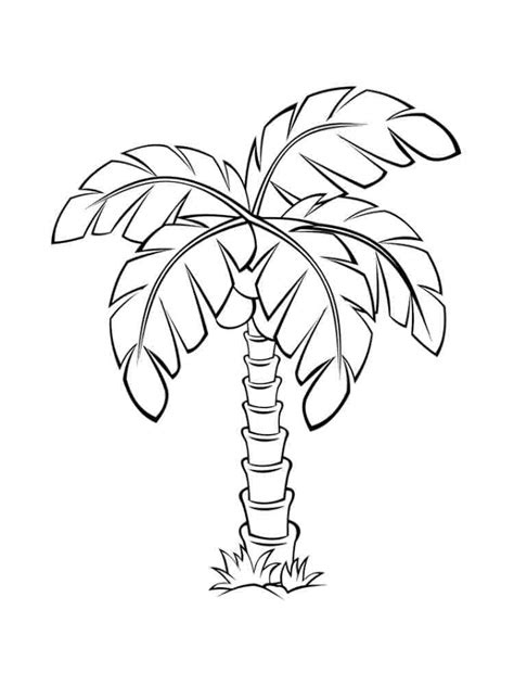Coloriage Palmier à imprimer sur ColoriageEnfant