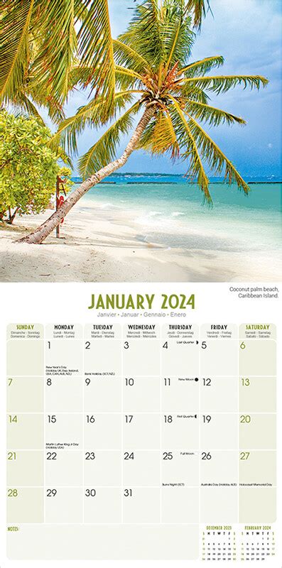 Tropical Islands Calendários de parede 2024 Compre em Europosters