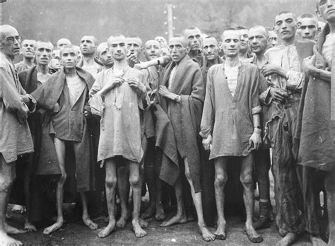 Ignoranza E Negazionismo Avanzano La Memoria Della Shoah Rischia Di