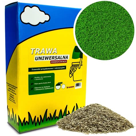 TRAWA UNIWERSALNA ZAGĘSZCZAJĄCA NASIONA 80m2 ODPORNA NA DEPTANIE 2kg